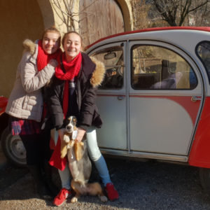 Student Exchange Program - Afx